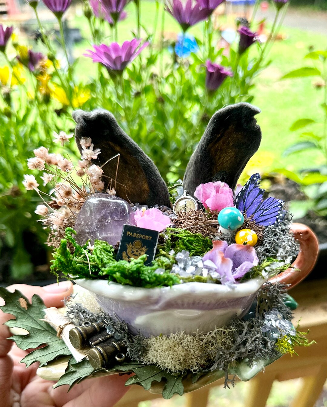 Taxidermy Rabbit Ear Tea Cup REAL Rabbit Ear - Etsy
