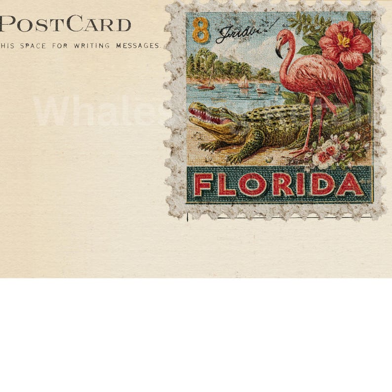 Vintage Florida Stamp PNG Bundle: Sublimation Design (digital Download ...