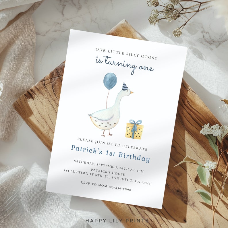 One Silly Goose Birthday Invite, Goose Birthday Invitation, First ...