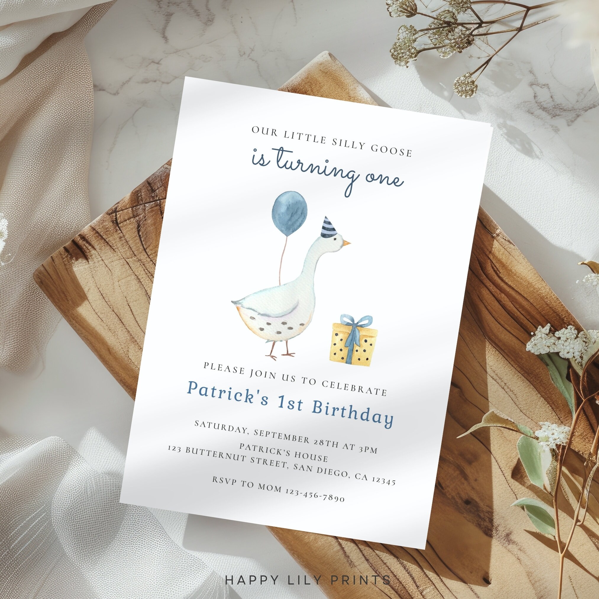 One Silly Goose Birthday Invite, Goose Birthday Invitation, First ...