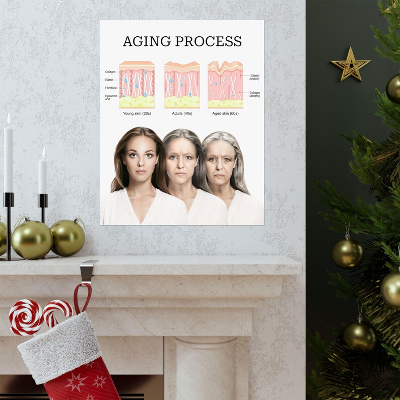 Aging Process Skin Changes Stages Matte Vertical Poster, Plastic ...