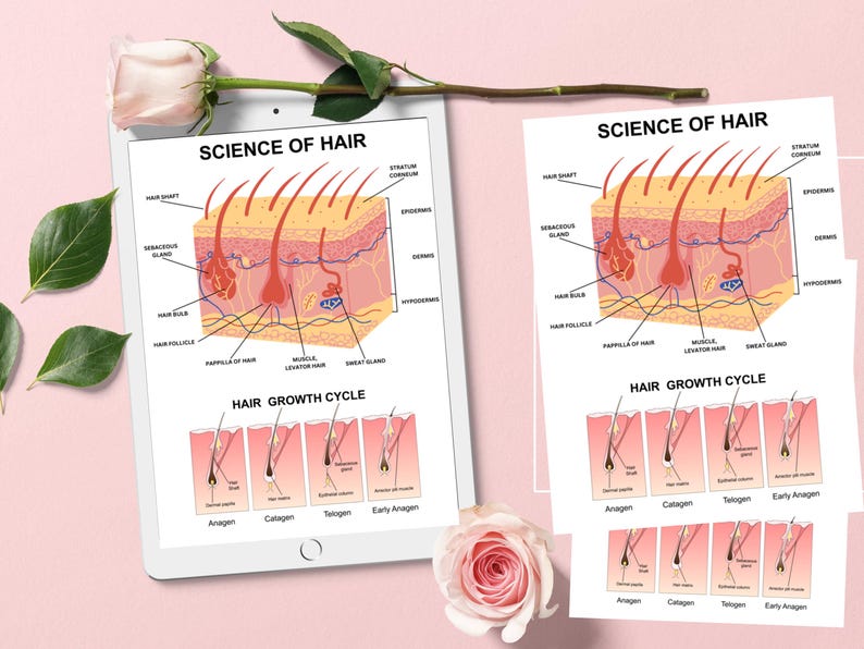 Science of Hair Digital Download, Aesthetic Clinic Beauty Salon ...