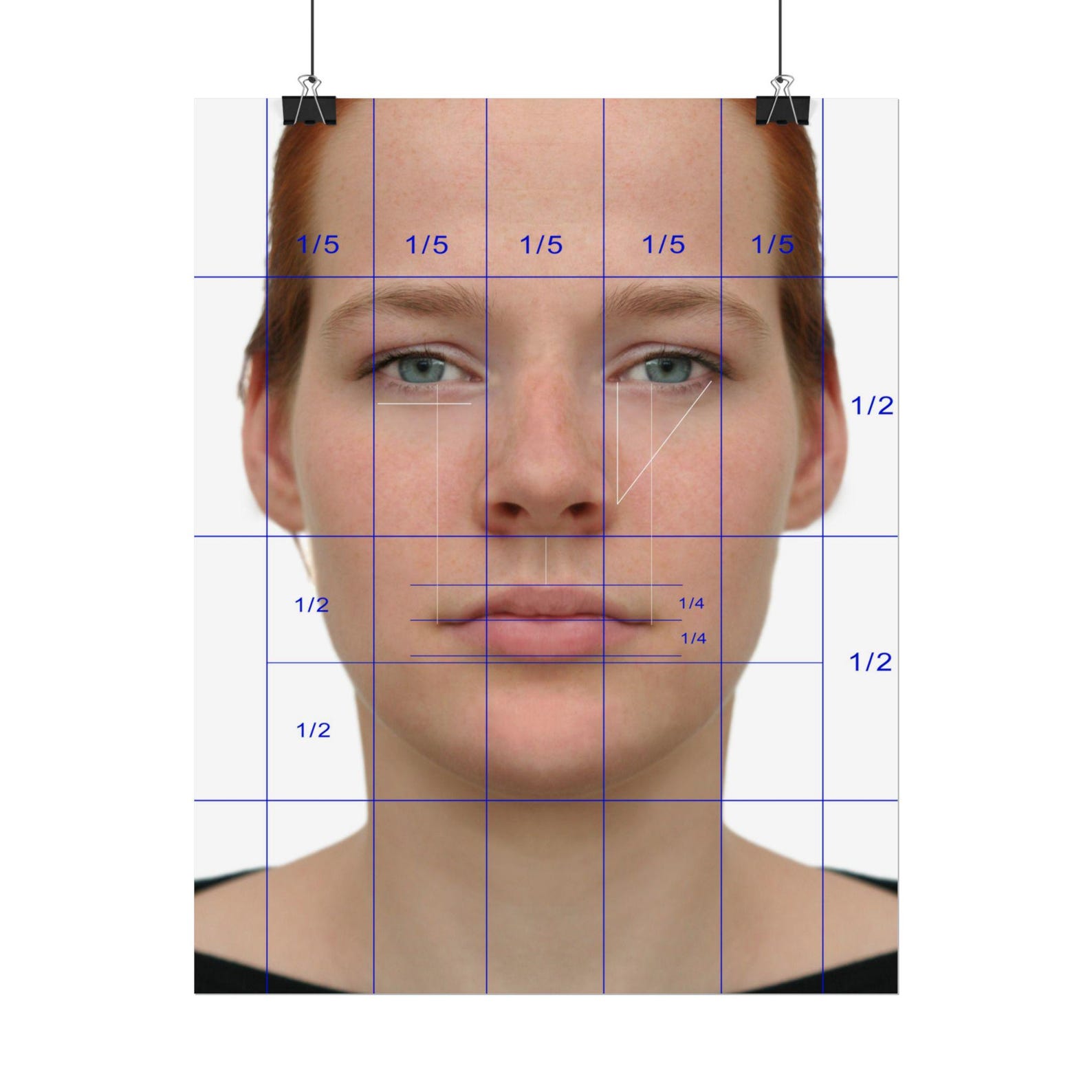 Plastic Surgery Consultation Poster, the Perfect Proportions of the ...