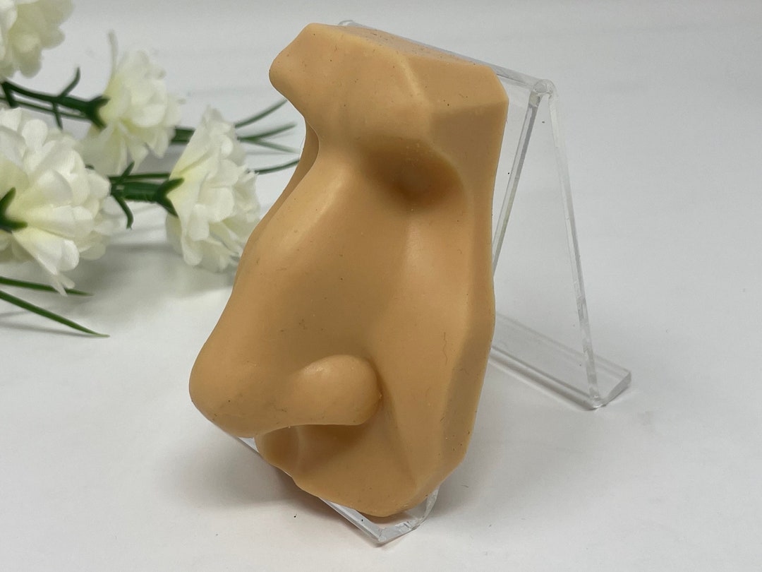 Artificial Nose for Practicing Piercing, Nose Plastic Surgery Practice ...