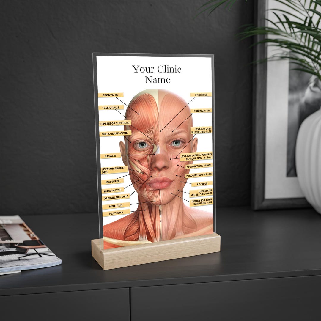 Custom Facial Anatomy Acrylic Sign With Wooden Stand, Clinic Name ...