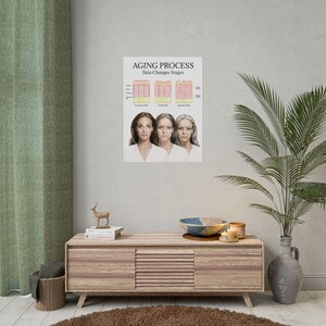 Aging Process Skin Changes Stages Rolled Poster, Face Lift Med Spa ...