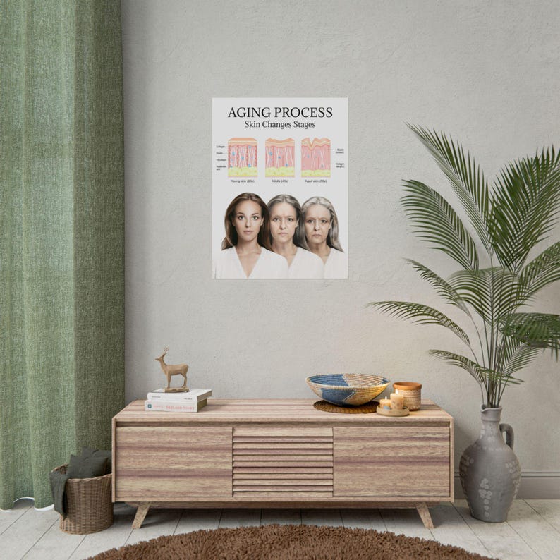Aging Process Skin Changes Stages Rolled Poster, Face Lift Med Spa ...