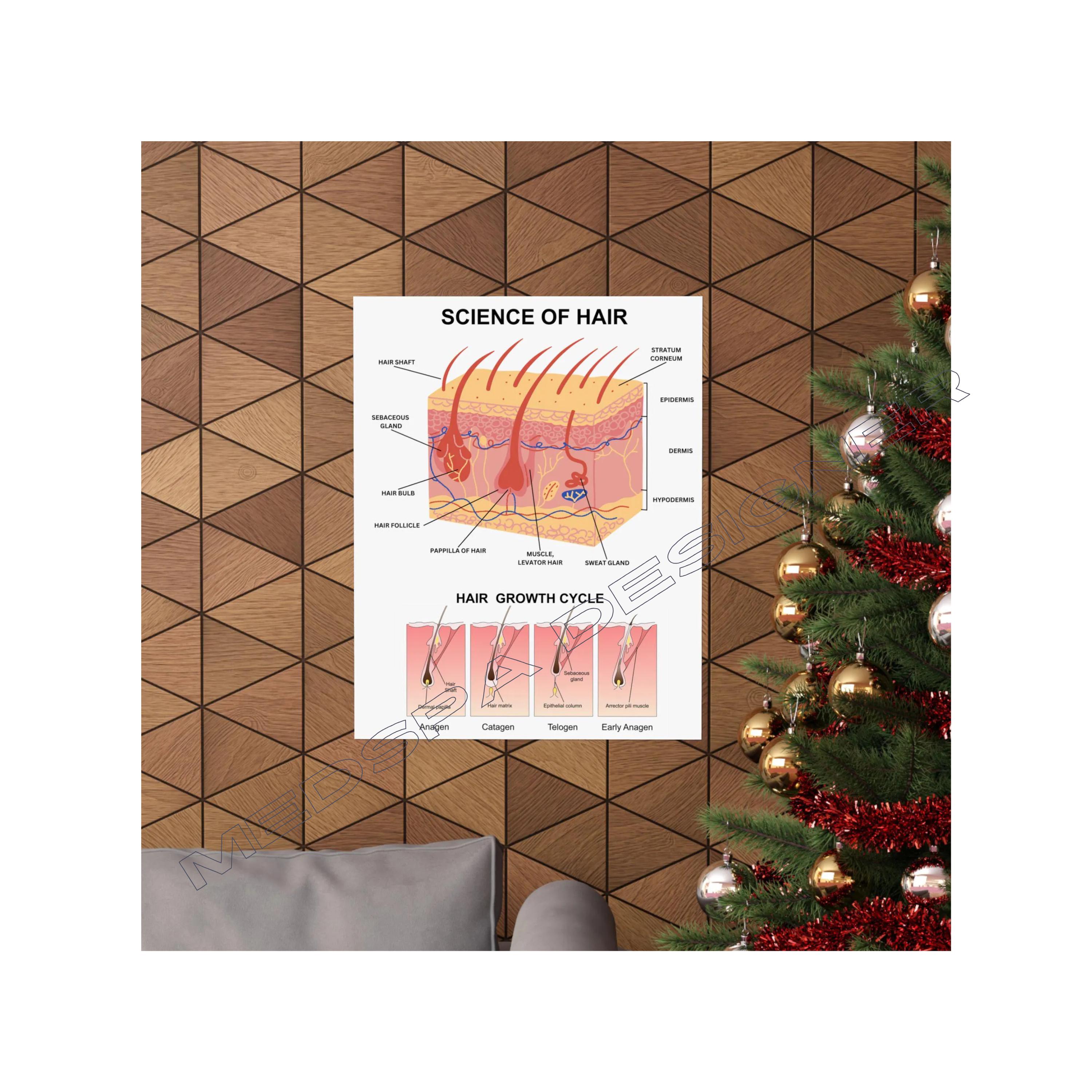 Science of Hair Poster, Hair Growth Stages Medspa Nurse Injector Decor ...