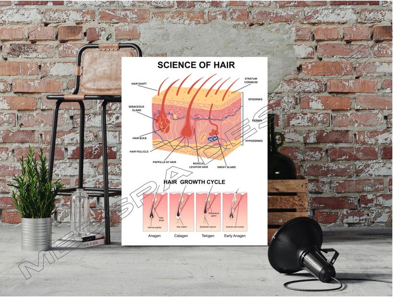Science of Hair Digital Download, Aesthetic Clinic Beauty Salon ...