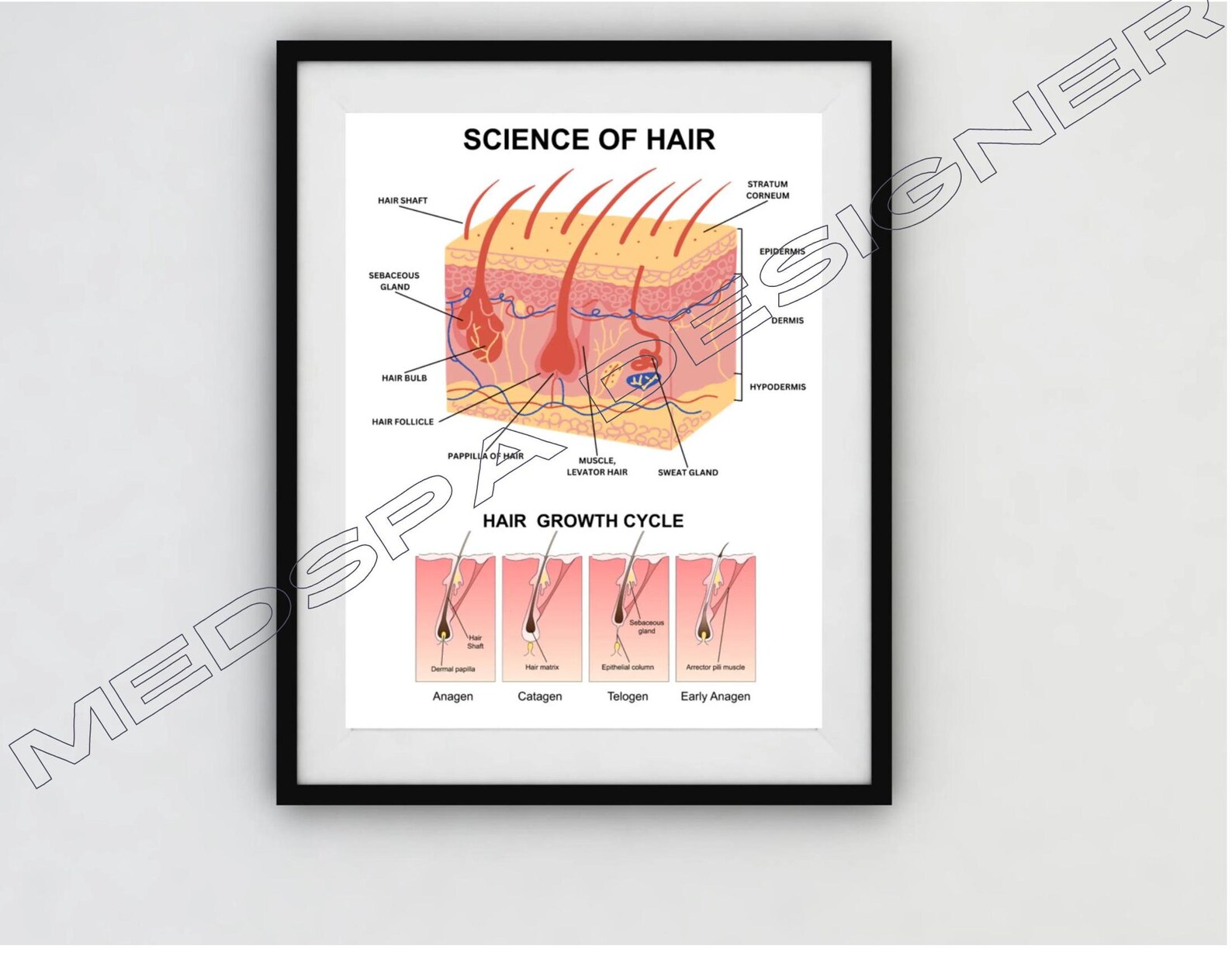 Science of Hair Digital Download, Aesthetic Clinic Beauty Salon ...