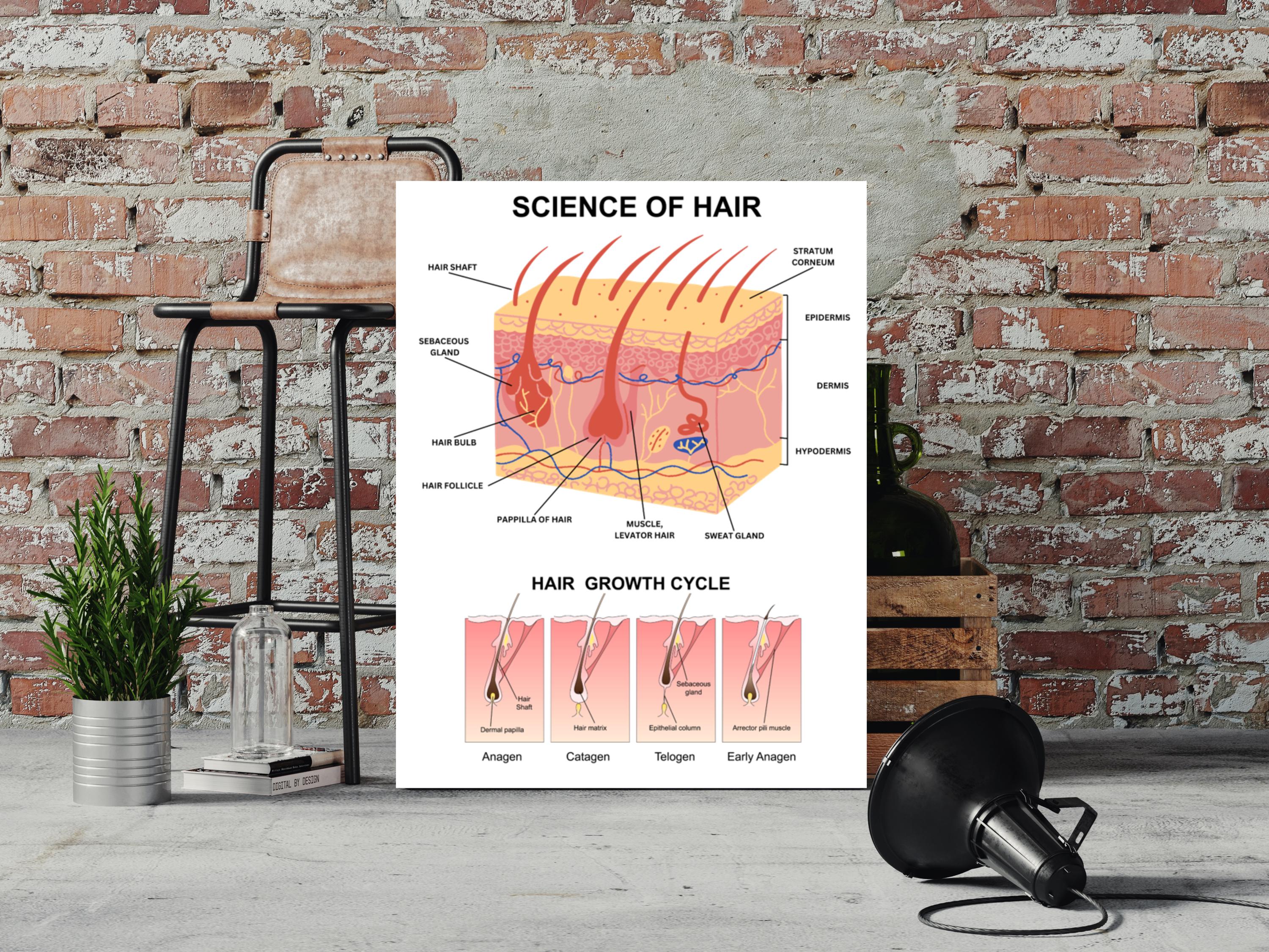 Science of Hair Digital Download, Aesthetic Clinic Beauty Salon ...