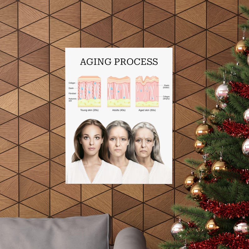 Aging Process Skin Changes Stages Matte Vertical Poster, Plastic ...