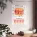 Science of Hair Poster, Hair Growth Stages Medspa Nurse Injector Decor ...
