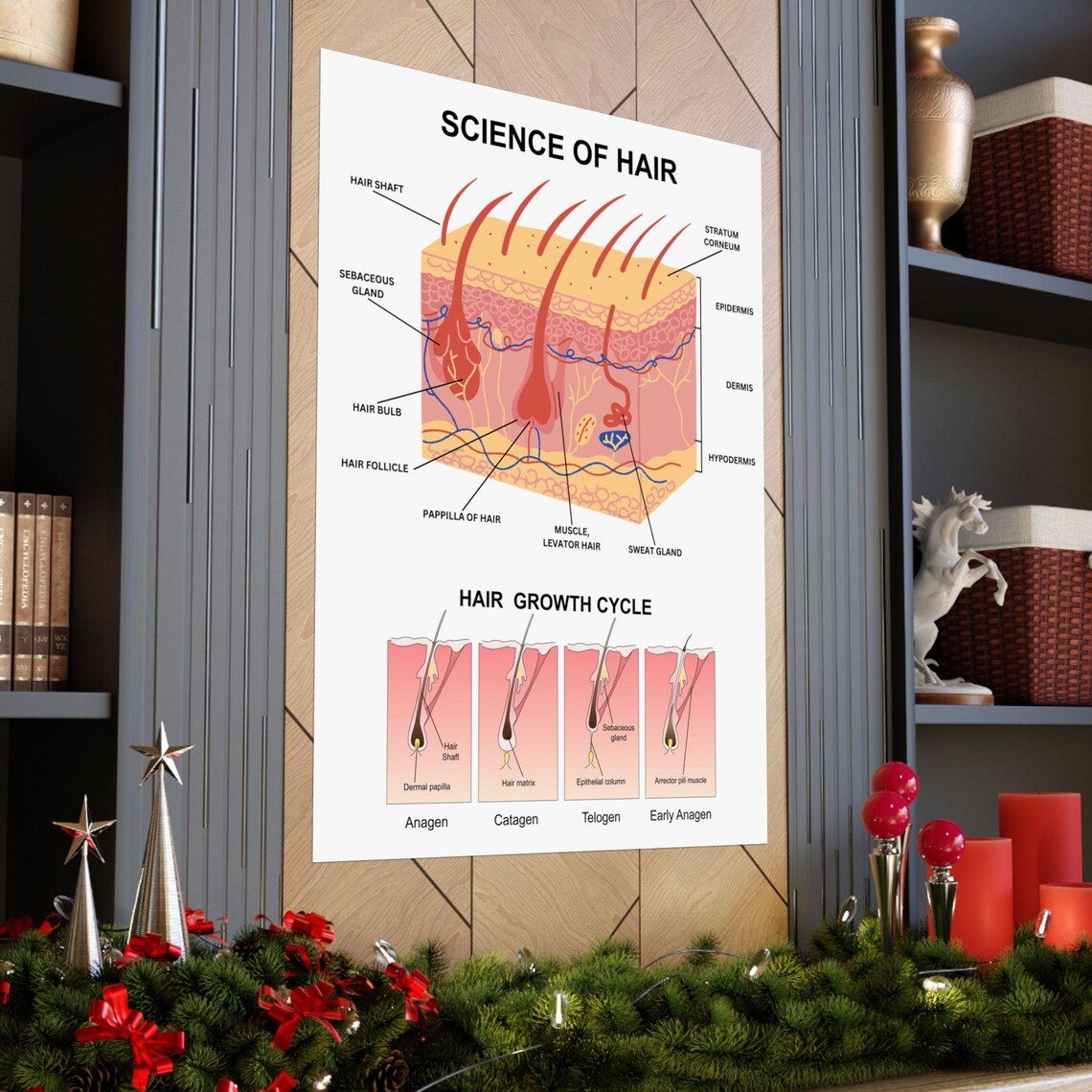 Science of Hair Poster, Hair Growth Stages Medspa Nurse Injector Decor ...