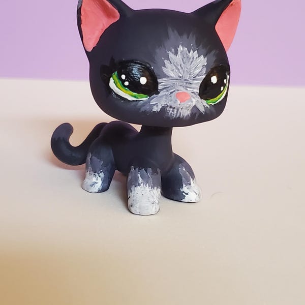 Lps Custom - Etsy