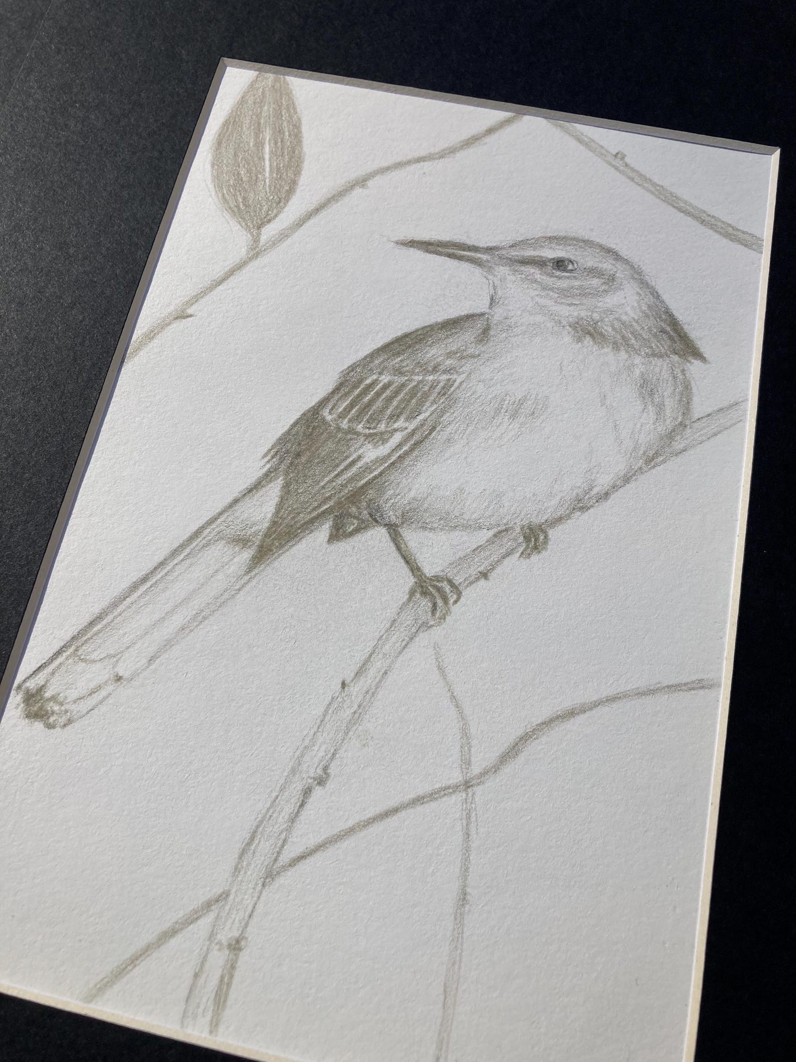 Original Goldpoint Metalpoint Drawing Bird - Etsy