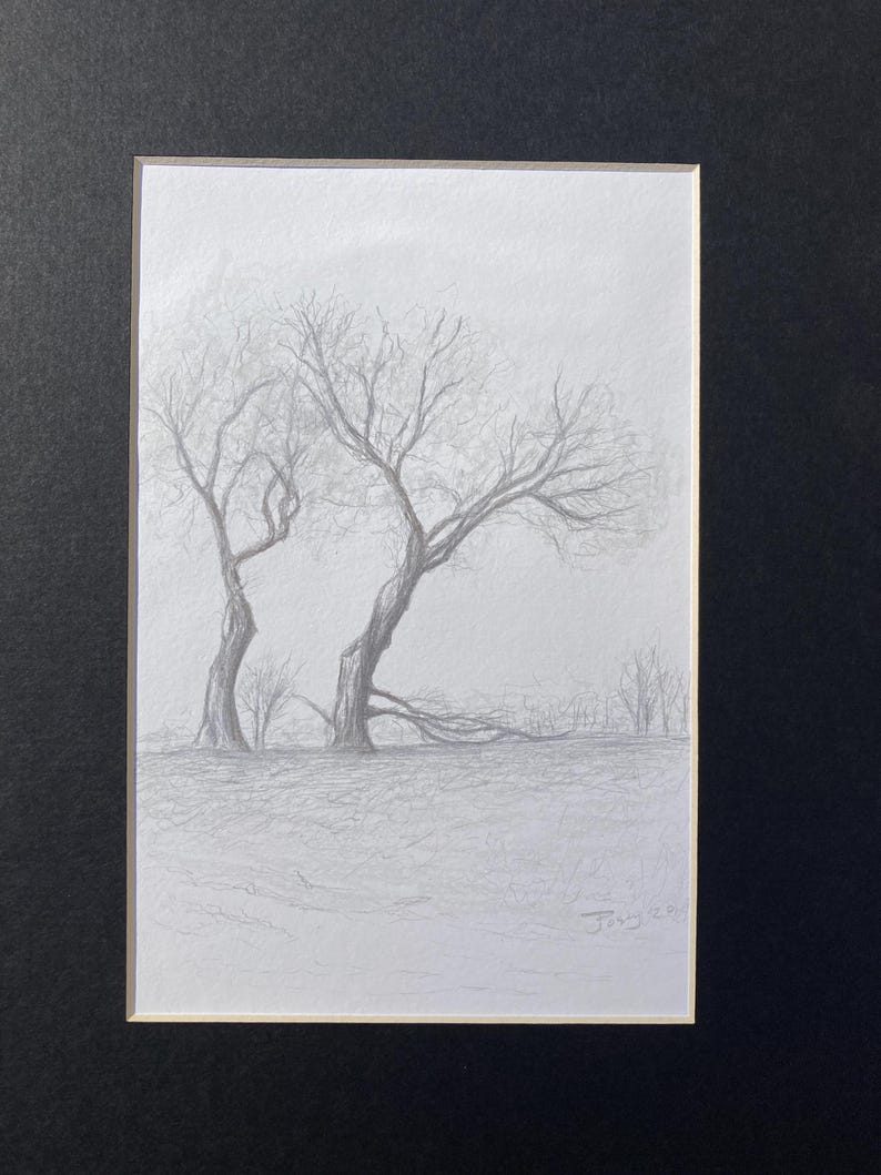 Original Silverpoint Drawing Two Twisted Trees - Etsy