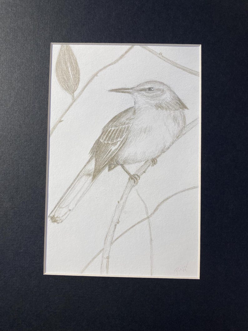 Original Goldpoint Metalpoint Drawing Bird - Etsy