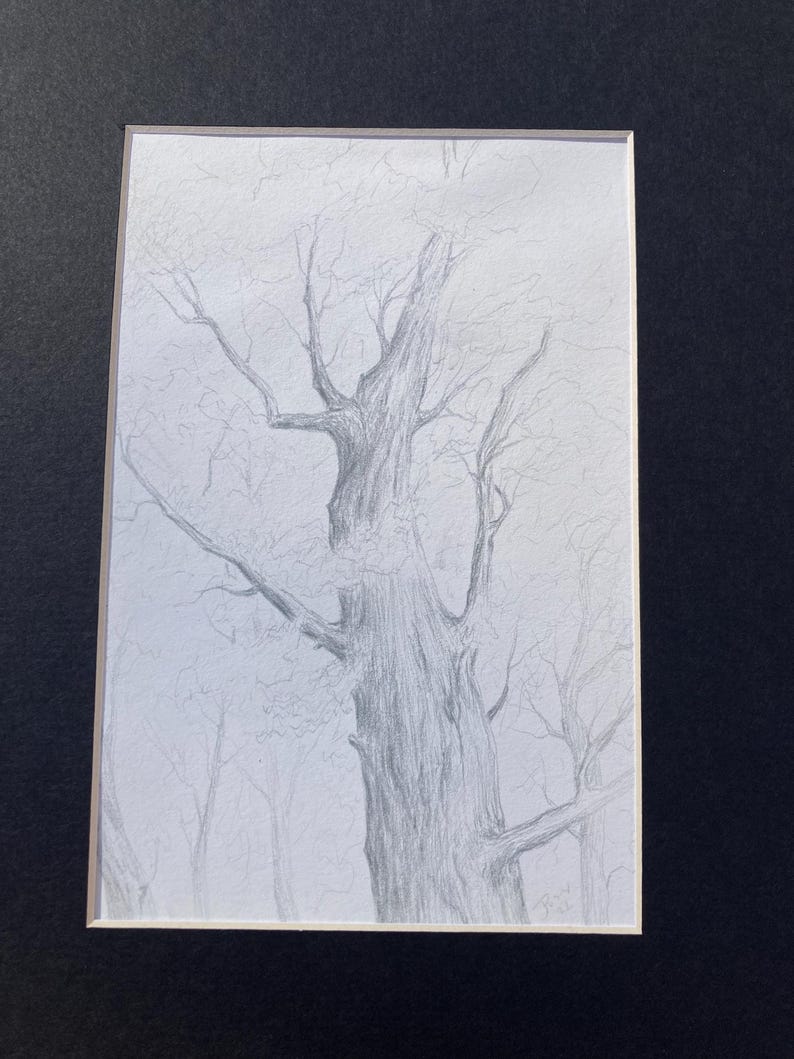 Original Silverpoint Drawing Winter Tree - Etsy
