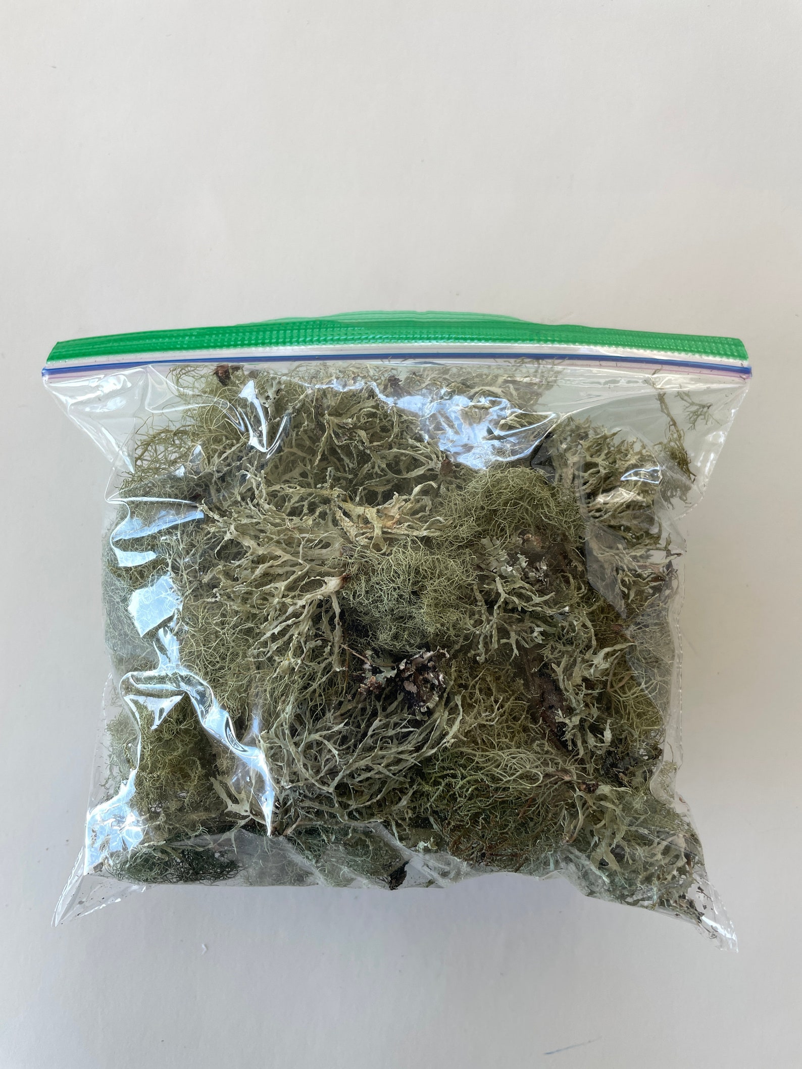 Dried Moss and Lichen Variety: PNW Natural Floral Art Supplies for ...