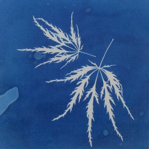 Japanese Cut Leaf Maple, Cyanotyped Cotton Fabric, One of a Kind Charm ...