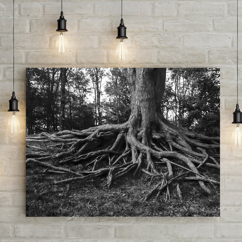 Tree Roots - Etsy