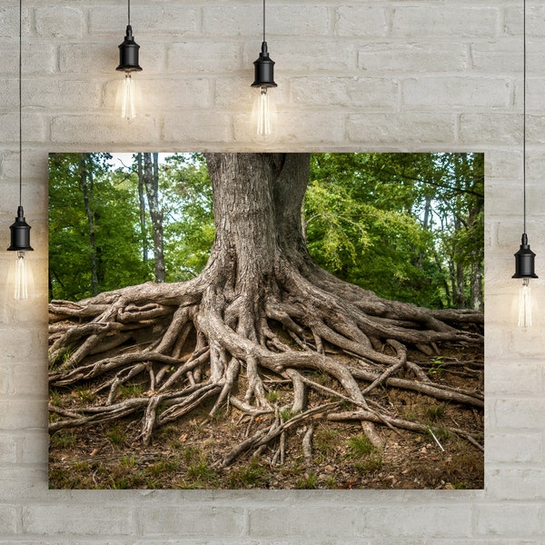 Tree Roots Wall Art - Etsy