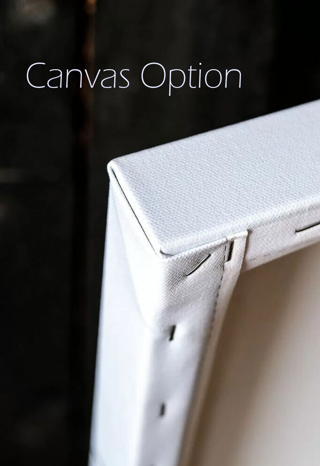 Zombie Print Vintage Signage Decor New Orleans Photography - Etsy