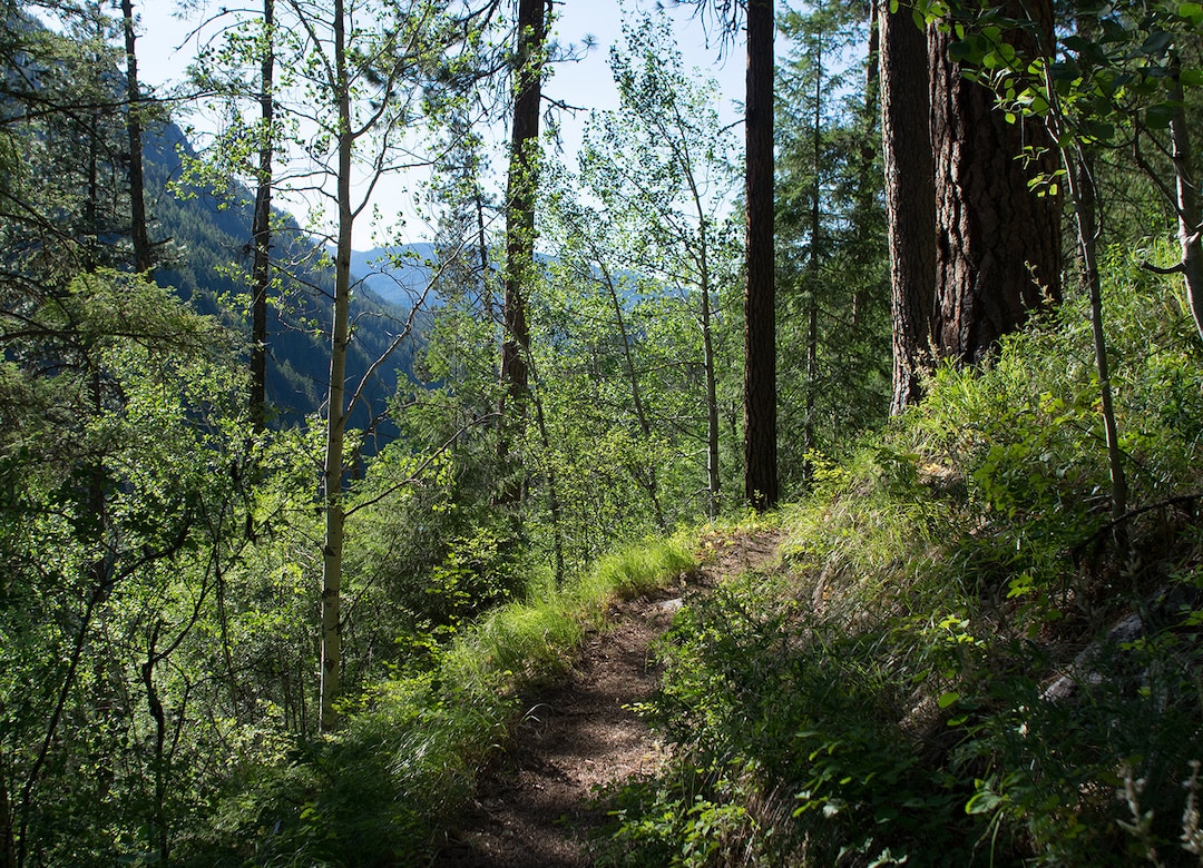 Scenic Nature Print, Pacific Northwest Hiking Trail, Eastern Washington ...