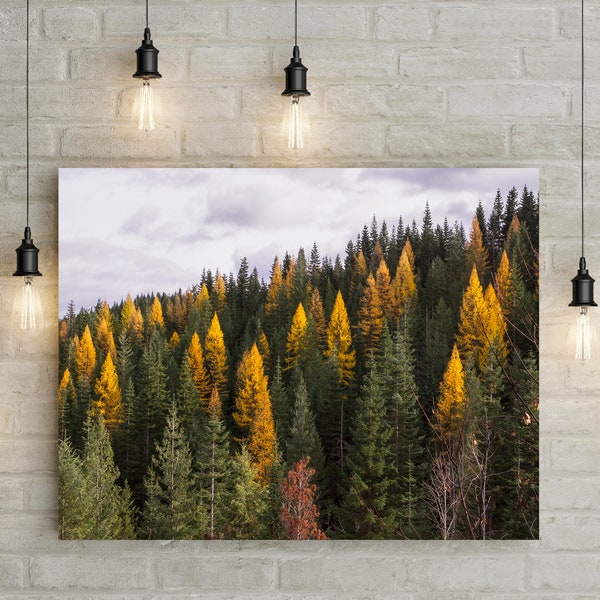 Tamarack Art - Etsy