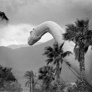 Brontosaurus Photo Print, Cabazon Dinosaurs, Film Photography ...