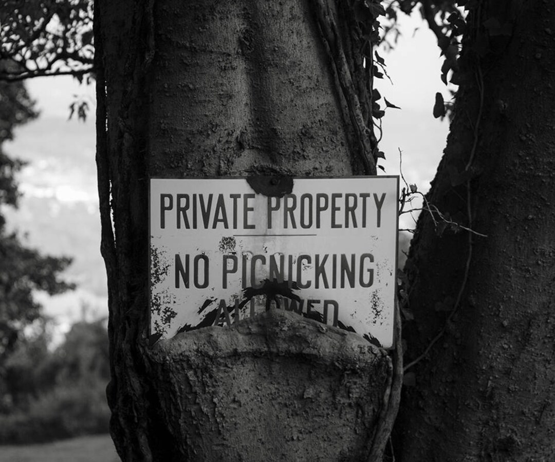Black and White Tree Photo, No Picnicking, Tree Eating Sign ...