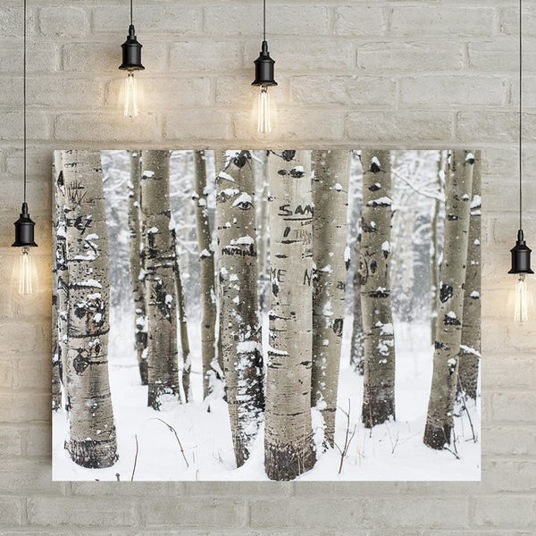 Aspen Decor - Etsy