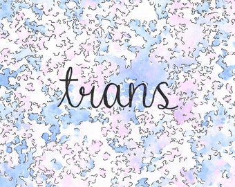 TRANSGENDER FLAG GLOSSY Poster Picture Photo Banner Print Trans Gay ...