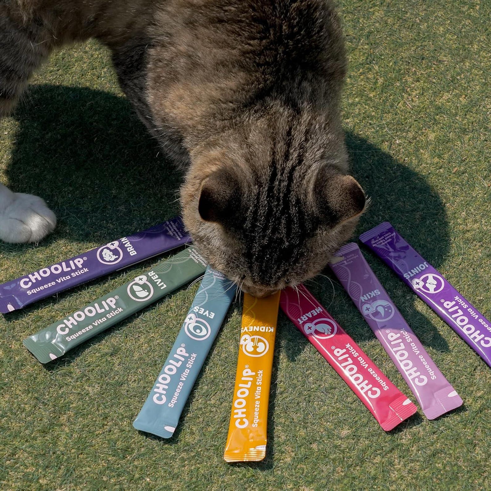 Choolip Squeeze Vita Stick Lickable Cat Treats and Dog Treats. 49pc ...