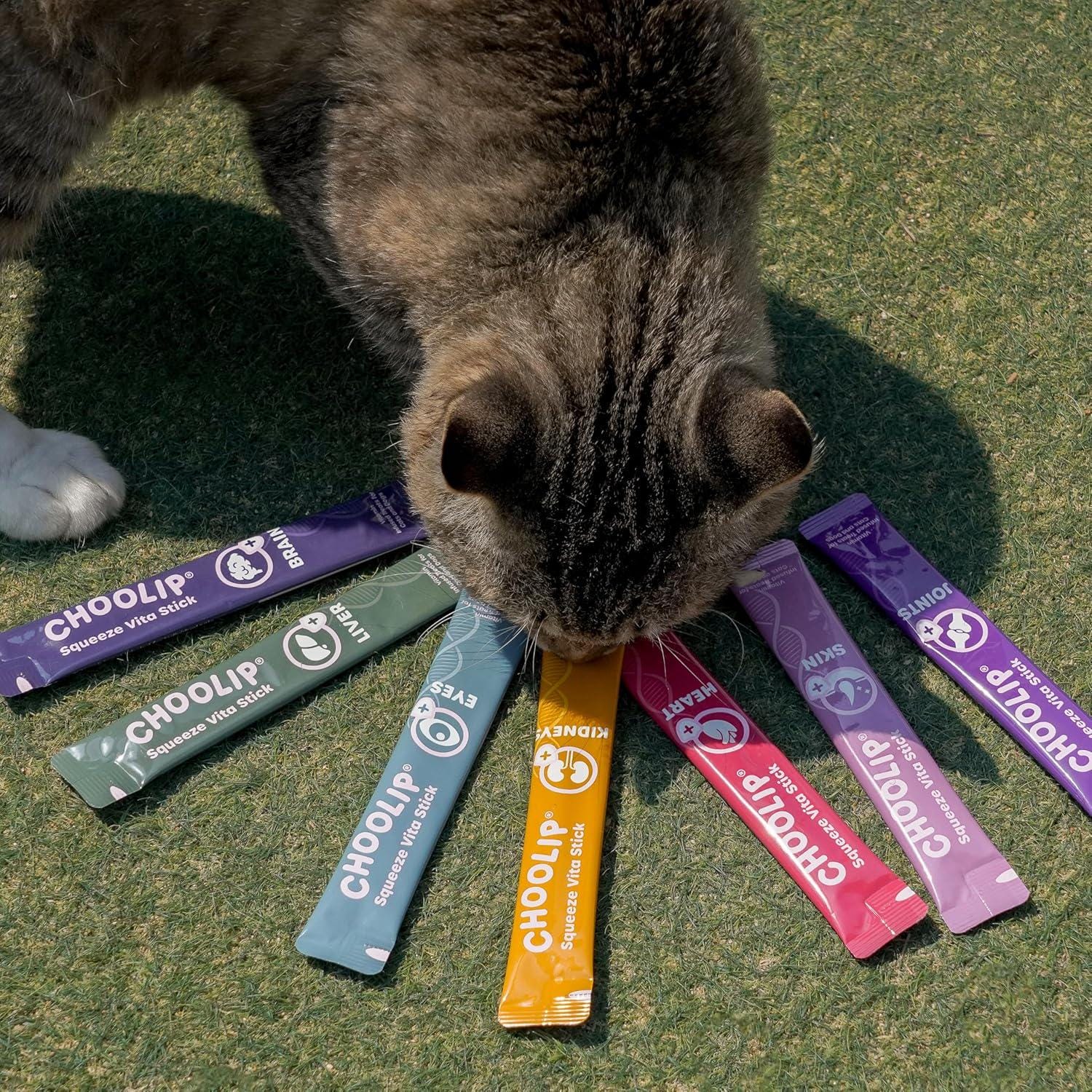 Choolip Squeeze Vita Stick Lickable Cat Treats and Dog Treats. 49pc ...