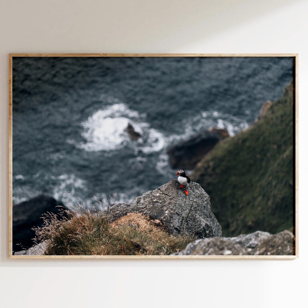 UNFRAMED Puffin Photography Print | High Quality Physical Print ...