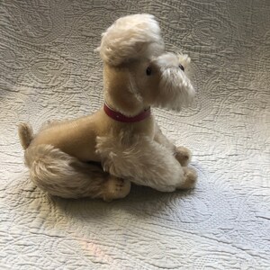 Vintage Steiff 1950's Light Gray Mohair Snobby Poodle - Etsy