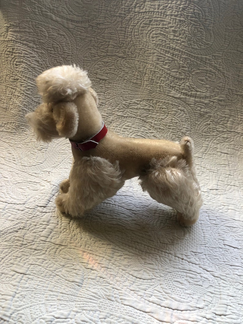 Vintage Steiff 1950's Light Gray Mohair Snobby Poodle - Etsy