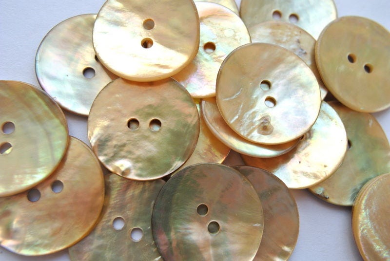 6 Vintage shell buttons beautiful yellowish to orange color | Etsy