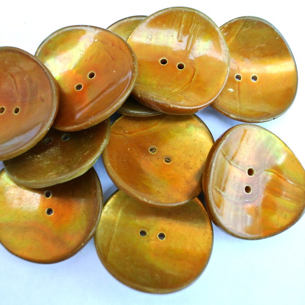 Clam Buttons - Etsy