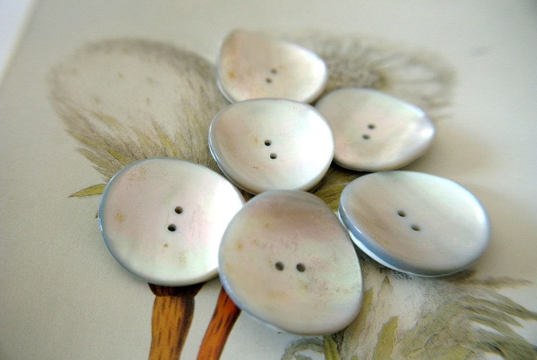 6 Antique Vintage Shell Buttons NATURAL COLOR, Thick and Heavy 31mm ...