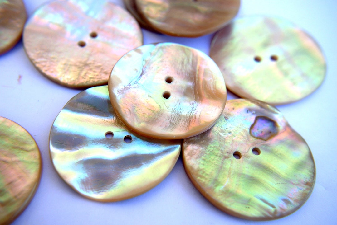 6 Antique Vintage Shell Buttons White With Inner Colors, 31mm, Rare - Etsy