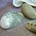 Natural Shells Sea Shells About 35mmx18mm 6pcs - Etsy