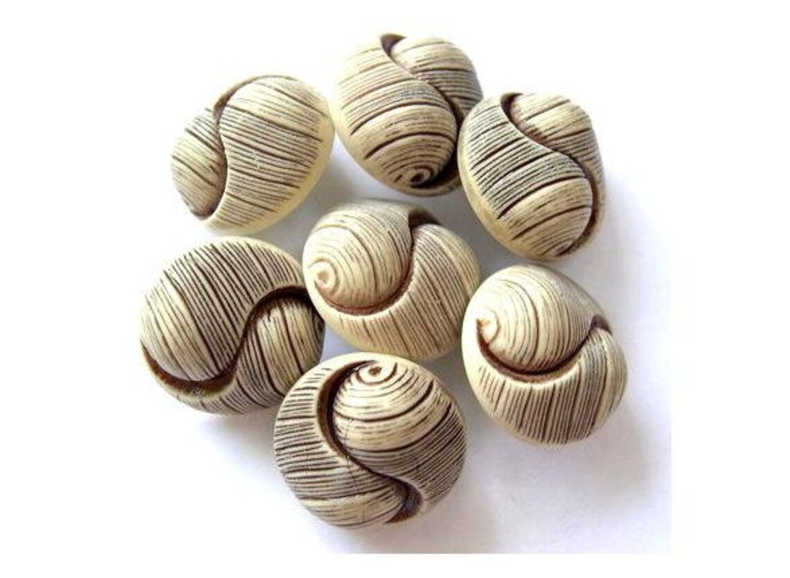Vintage Buttons Plastic Shell Design Shank Buttons 7 Buttons - Etsy