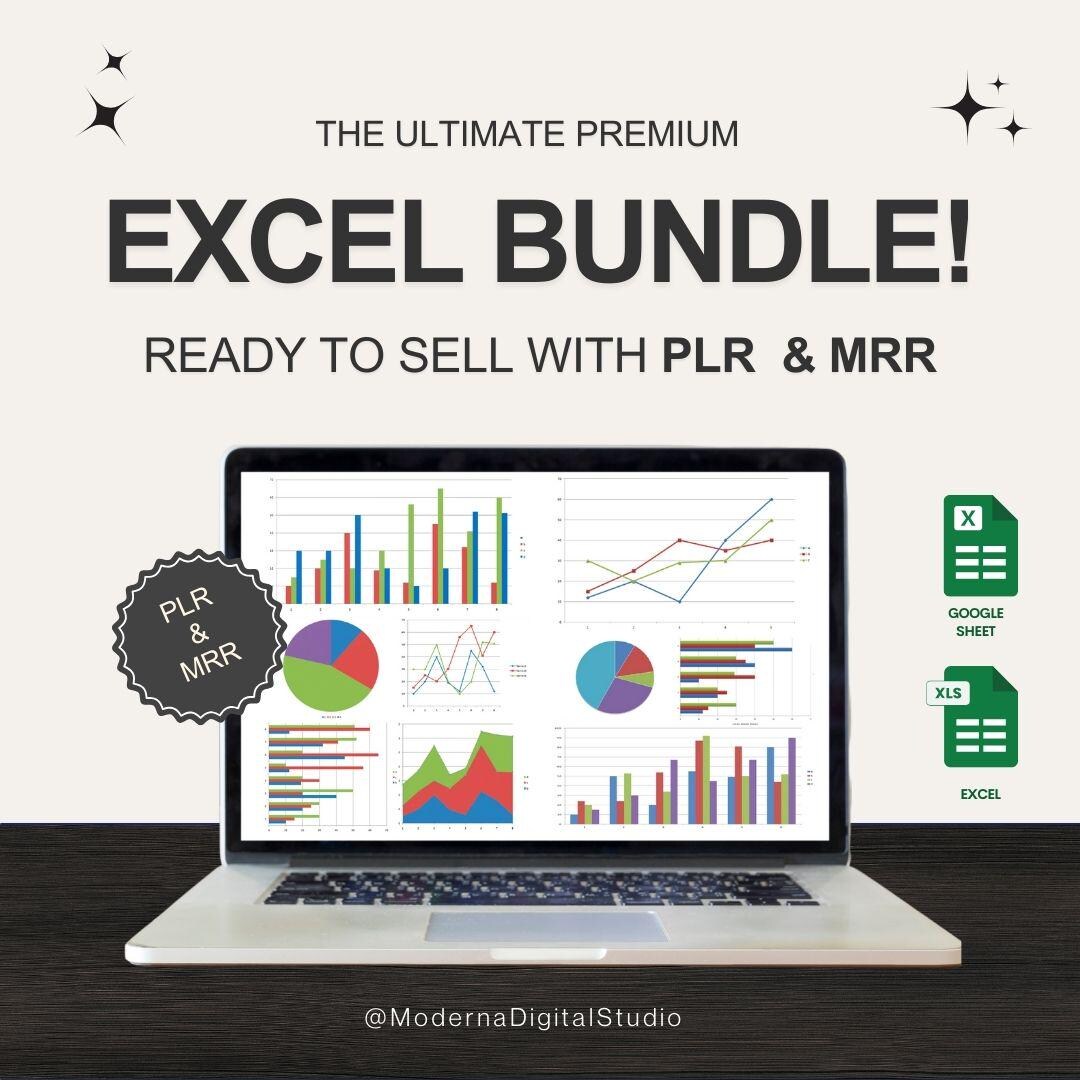 1000 PLR MRR Excel Spreadsheet Templates Bundle Done for You Passive ...