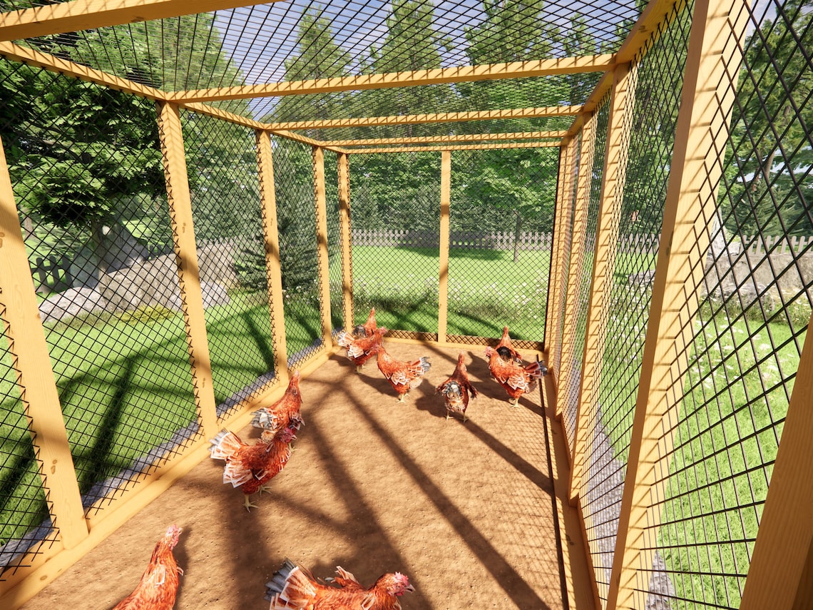 DIY Chicken Run Plans 8x16 for 20 Chickens Plans Chicken Run Chicken ...