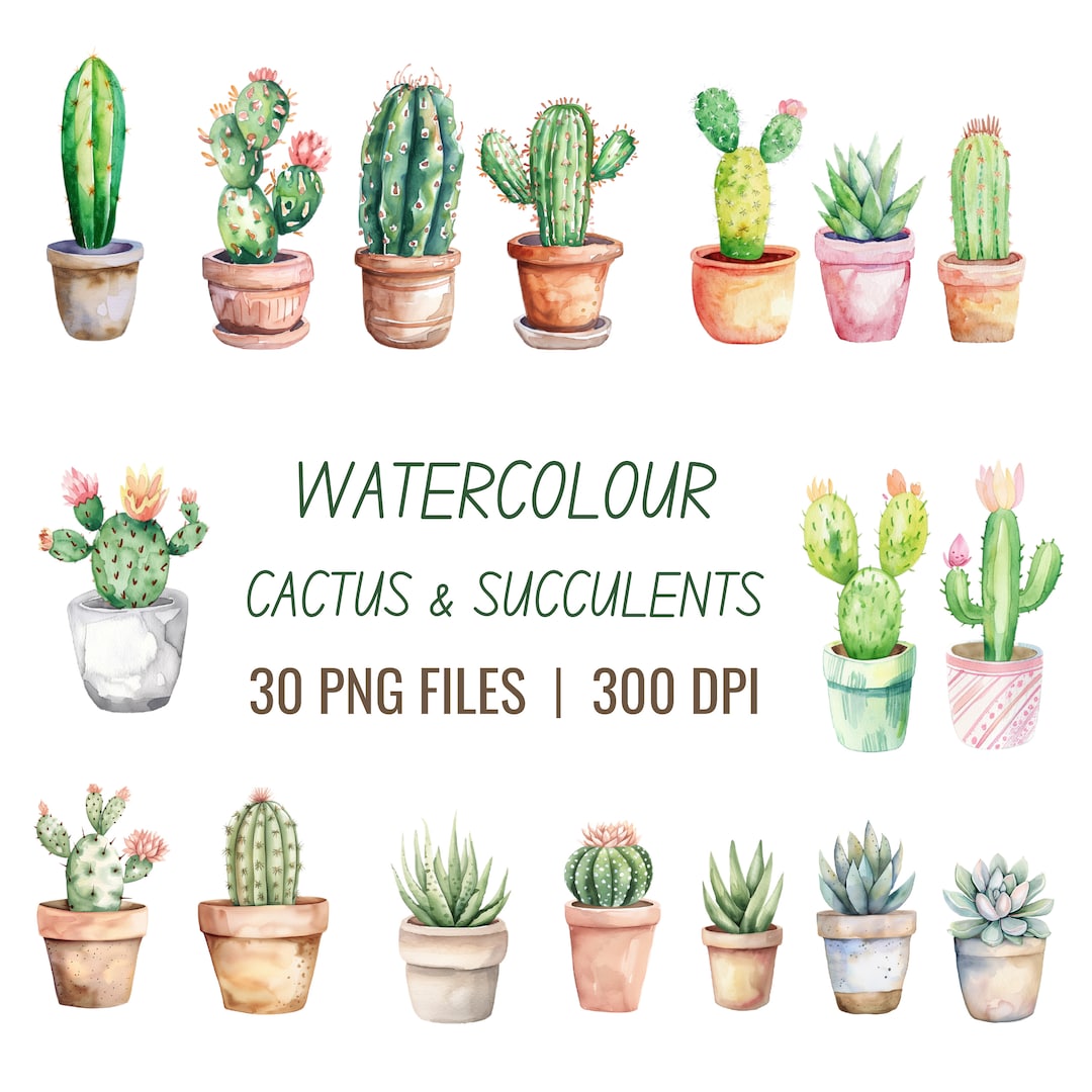 Succulent Potted Plants Clipart Set,indoor Potted Cactus PNG, Potted ...