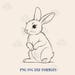 Rabbit Line Art PNG, Easter Bunny Clipart, Bunny Outline DXF, Digital ...