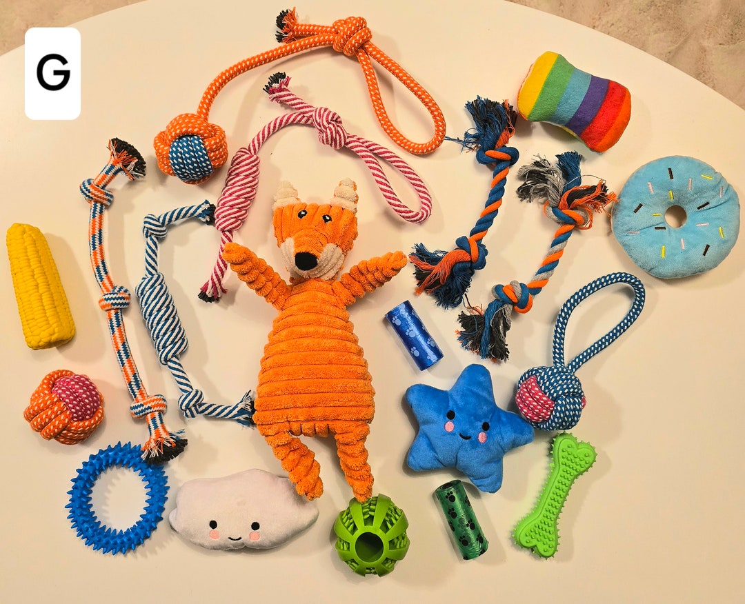 19-piece Dog Toy Set: Complete Collection for Playtime and Fun - Etsy